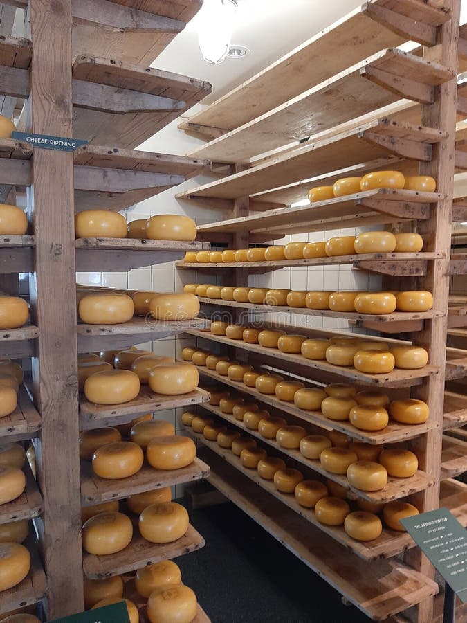 Dutch Cheese Factory ðŸ§€ stock image. Image of factory - 166135935
