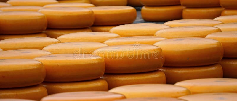 Dutch cheese stock photo. Image of europe, sale, produce - 374358602