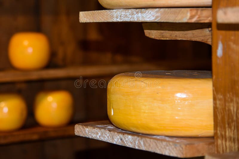 Dutch Cheese that is Ripening in a Cheese Storage Stock Image - Image ...