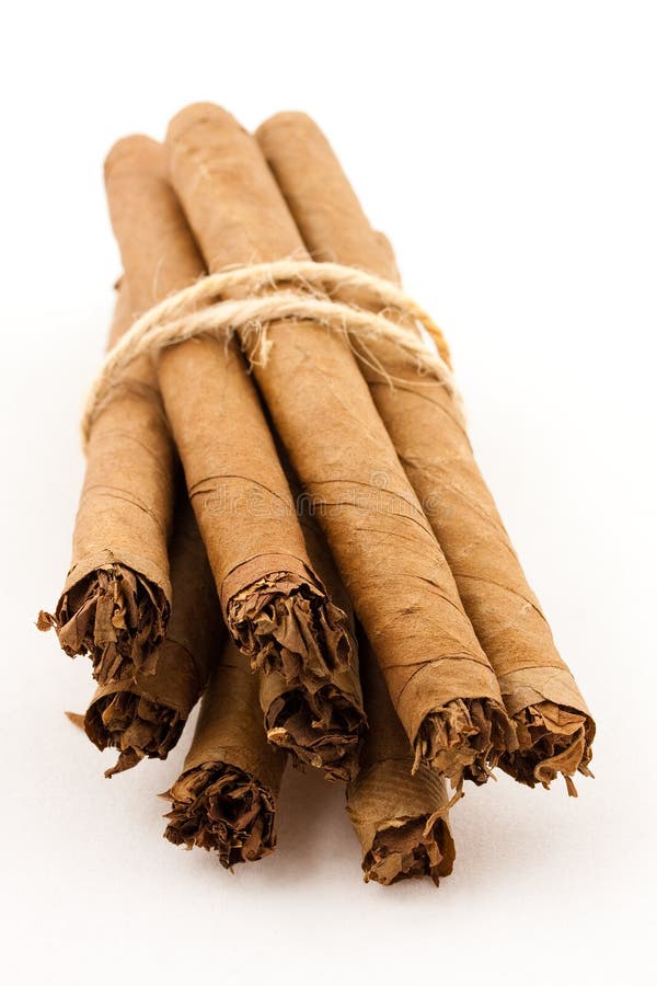Dutch Cigars stock image. Image of close, closeup, rolled - 22232749