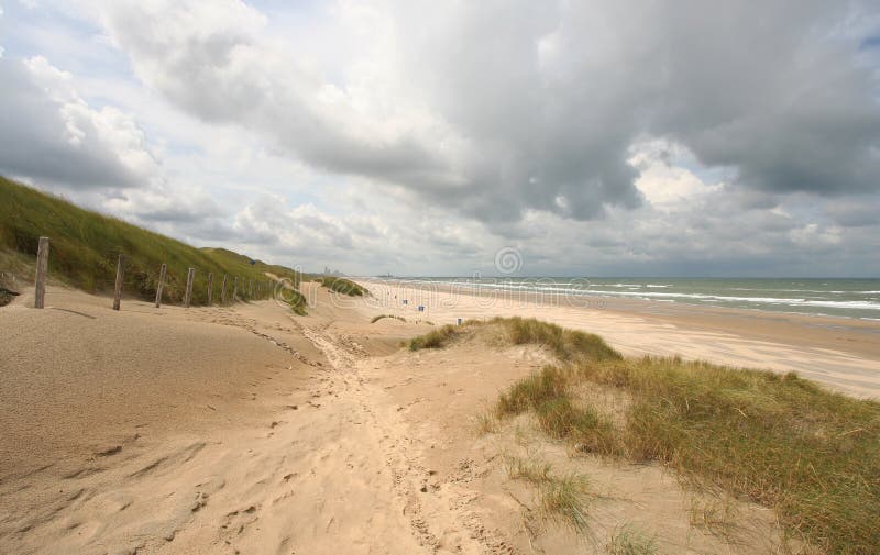 Dutch Coast stock image. Image of coast, shore, windy - 11053687