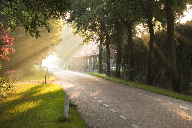 Dutch Country Road and Farm Stock Image - Image of farmland, meadow ...