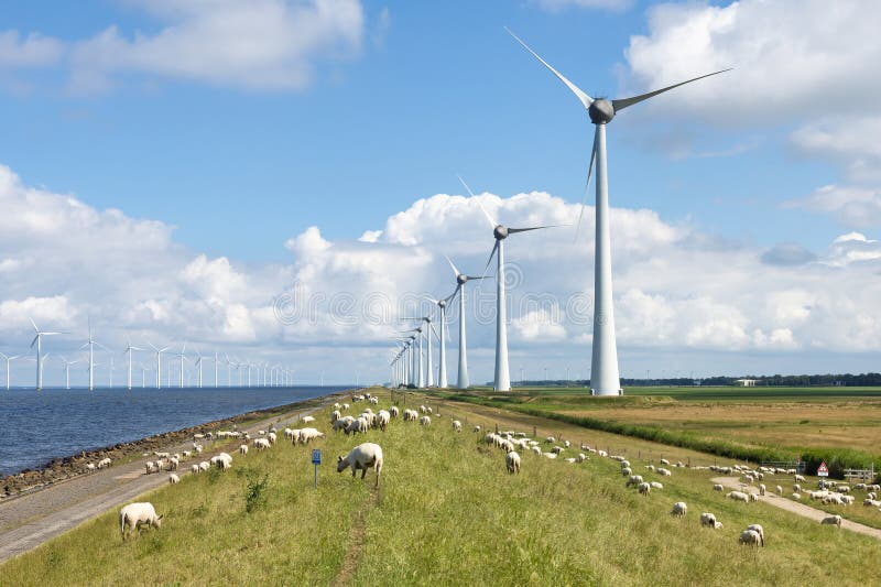 Dutch Countryfield with Herd of Sheep and Big Wind Turbines Stock Image ...