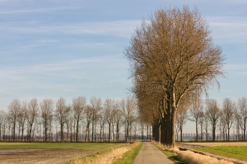 Dutch Countryroad in Springtime Stock Image - Image of netherlands ...