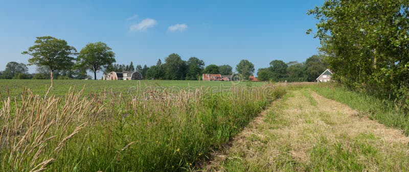 Dutch countryside stock image. Image of outdoors, agriculture - 20328009