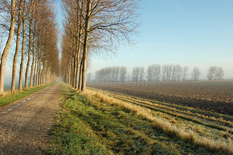 Dutch fields winter stock image. Image of bald, dutch - 6996409
