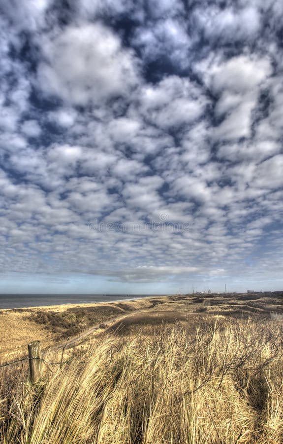 Dutch Dunes Picture. Image: 8592396