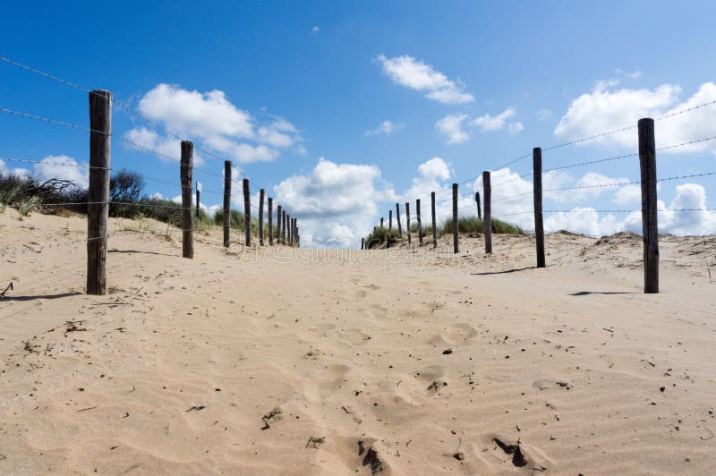 Sand Dunes In Zandvoort Aan Zee Stock Image - Image of nature, coast ...