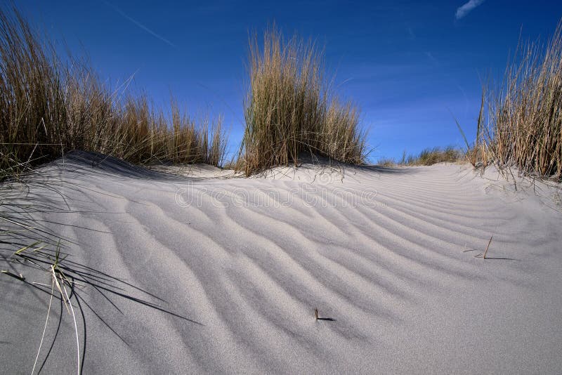 Sand Ripple And Shadow Patterns Stock Photo - Image of abstracts, dunes ...