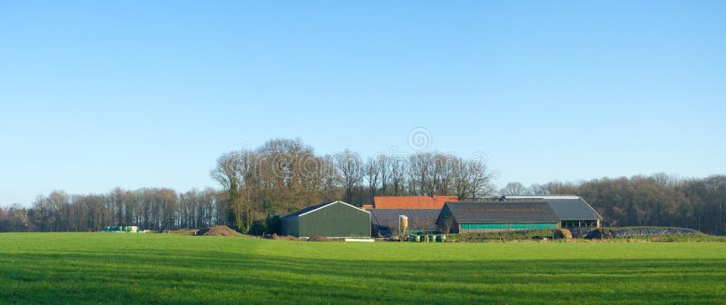 Dutch farm stock photo. Image of flat, farm, barns, buildings - 23687650