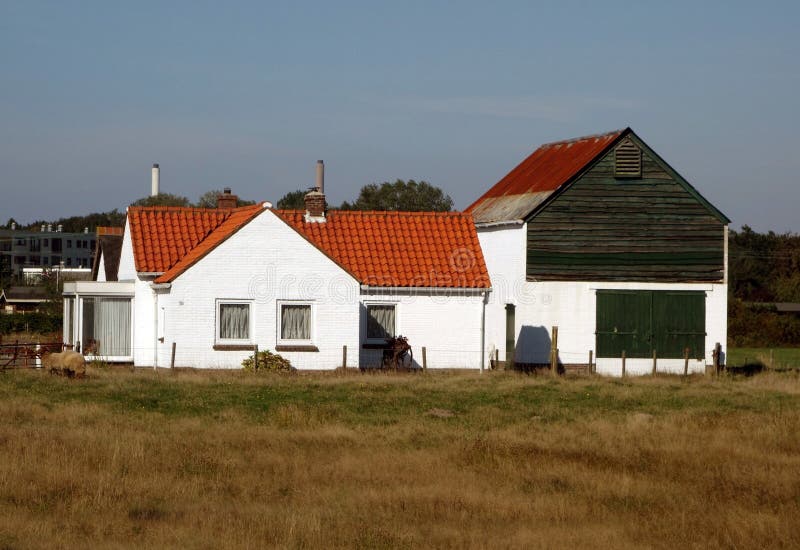 Dutch farm house stock photo. Image of dutch, farm, field - 44952374