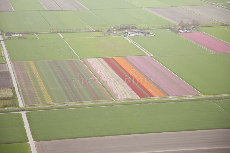 Dutch Farm Landscape from Above Stock Image - Image of environment ...