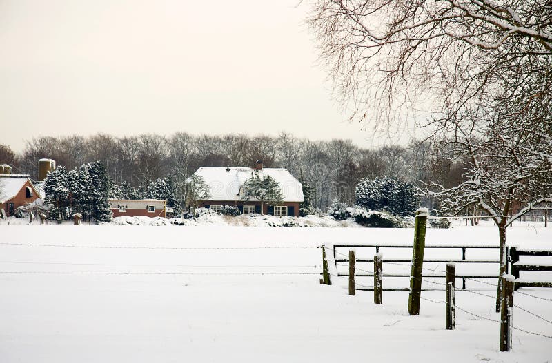 Dutch farm in the snow stock photo. Image of meadow, farm - 13016570