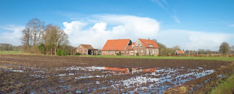 Dutch farmhouse stock image. Image of outdoors, farmland - 38874735