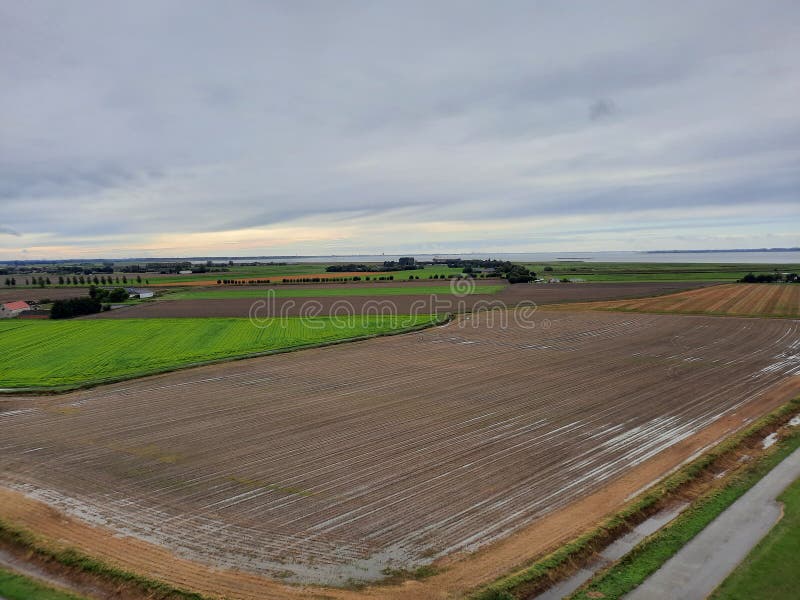 Dutch fields, zeeland stock photo. Image of landscape - 236898254