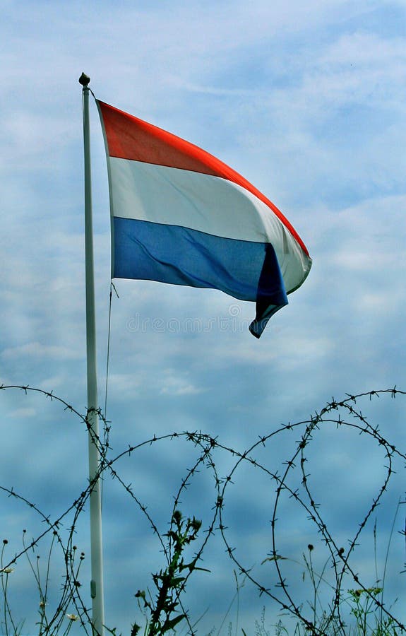Dutch flag stock photo. Image of netherlands, flag, illustrated - 6026534