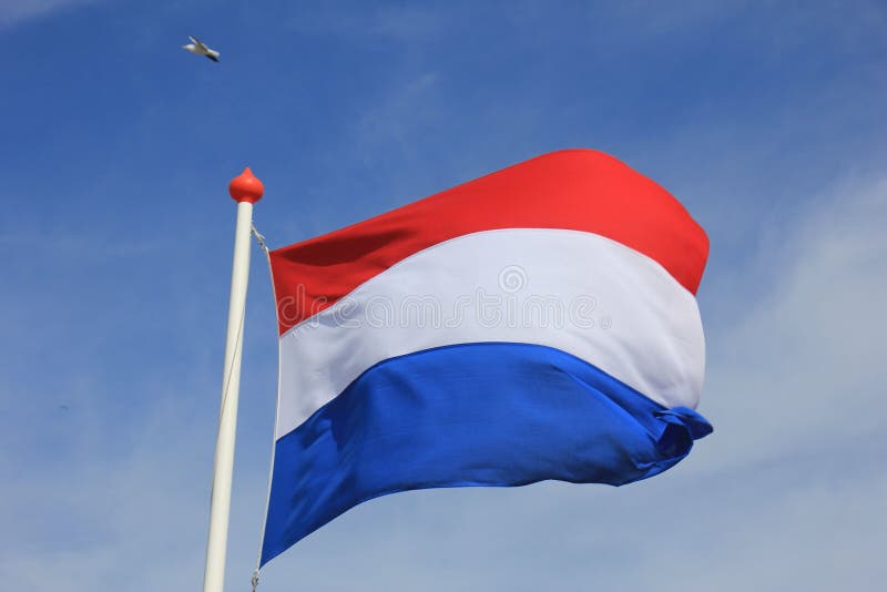Dutch flag stock photo. Image of symbol, white, country - 57441912