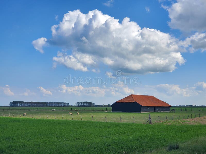 Dutch Flat Farmland Landscape Stock Image - Image of land, agriculture ...