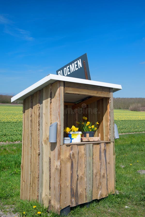 Dutch flowers for sale stock photo. Image of netherlands - 87308128