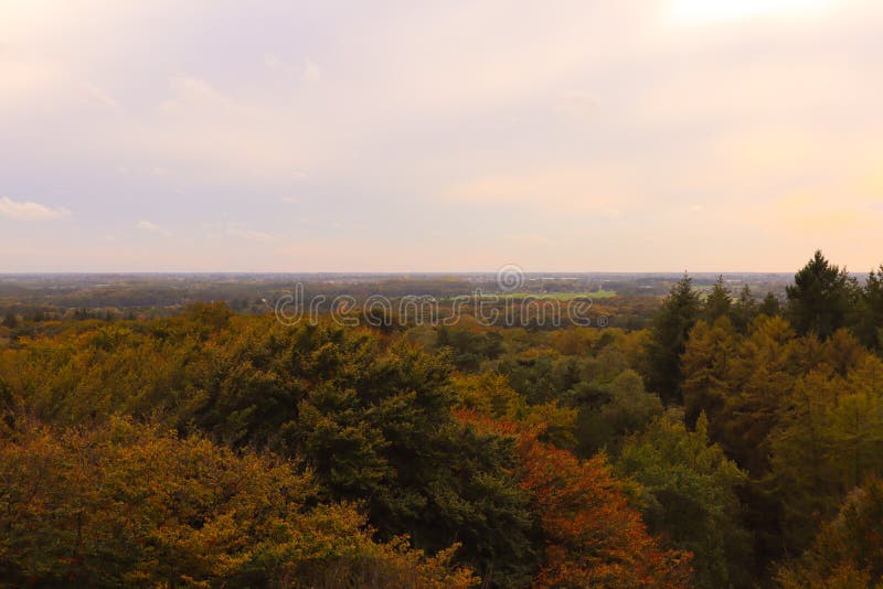 Forrest Road Path Sun Going Down Panoramic Scenic View of Dutch Forrest ...