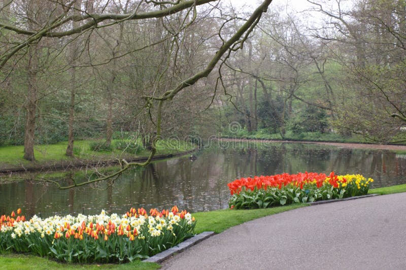 Dutch Garden In Spring Picture. Image: 6412095
