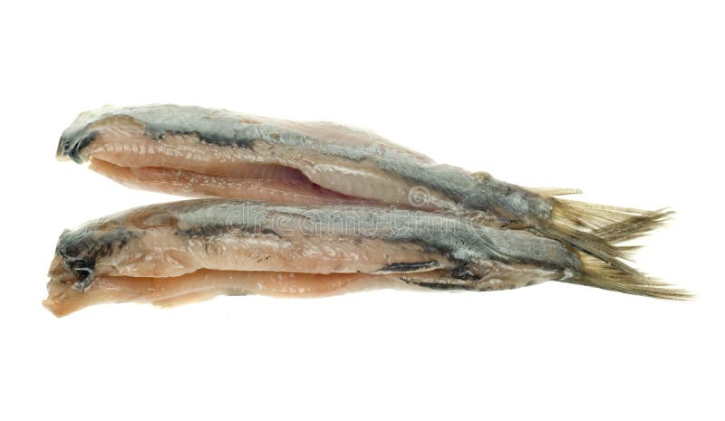 Dutch raw herring stock image. Image of dutch, snack - 44593901
