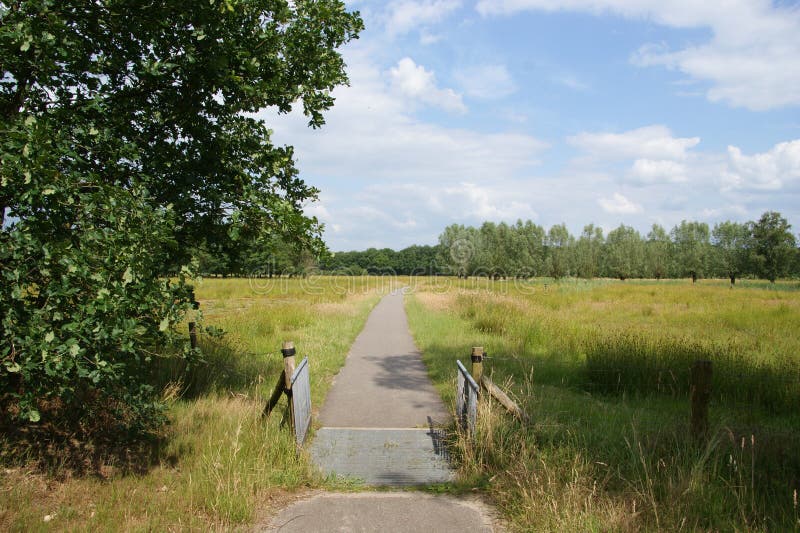 Crossroads stock photo. Image of field, teers, evening - 78367900