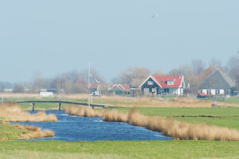 Dutch landscape stock image. Image of gooses, netherlands - 28666549