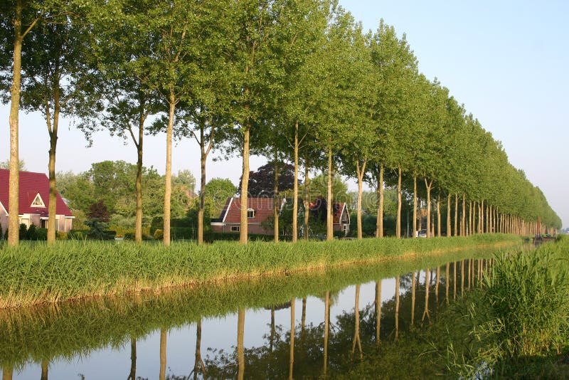 Dutch Landscape stock image. Image of dutch, dijk, river - 856339