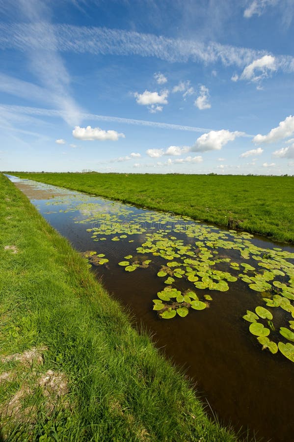 Dutch landscape stock photo. Image of green, season, springtime - 9124758