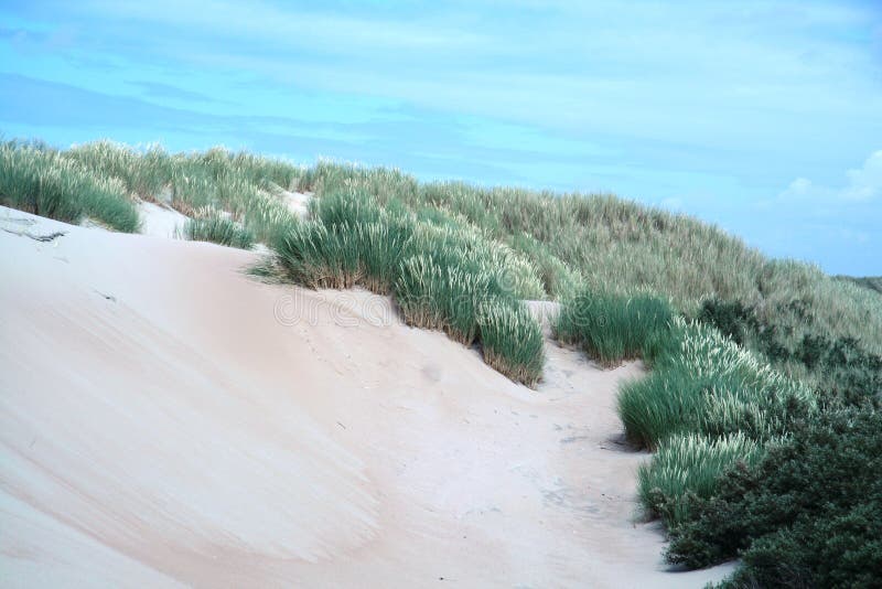 Dutch landscape dune stock photo. Image of beach, grass - 899468