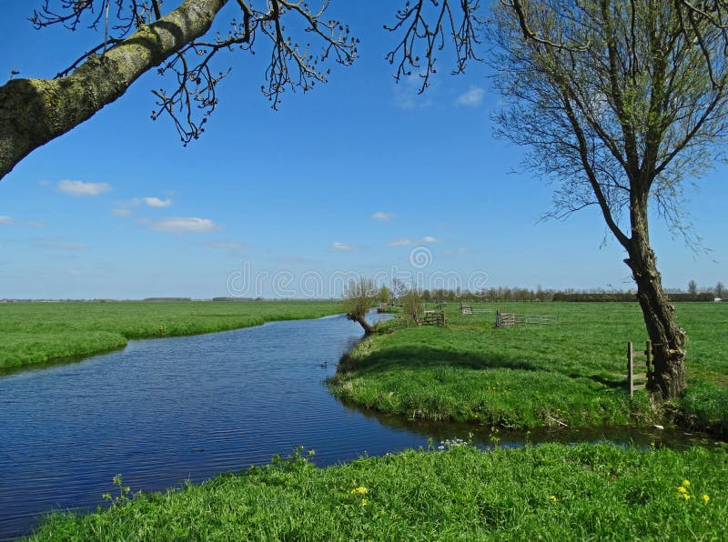 Dutch landscape stock photo. Image of meadow, green, water - 85260970