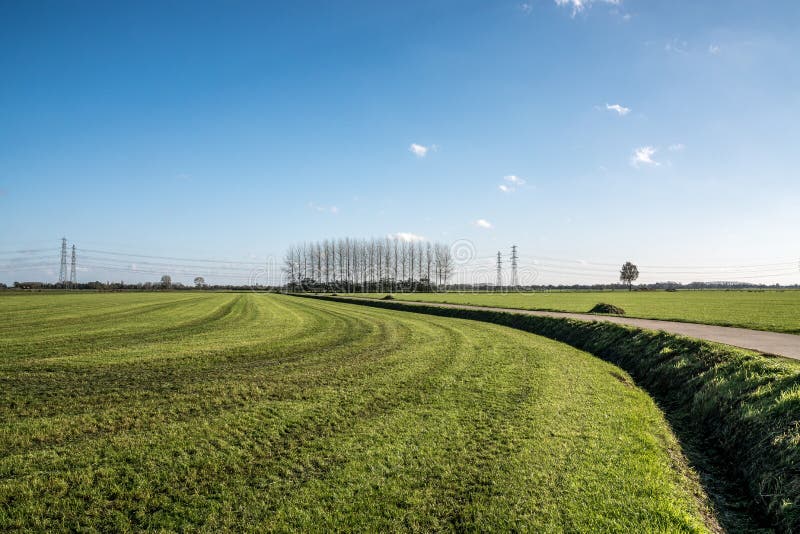 Dutch Landscape with Meadow Ans Trees Stock Photo - Image of green ...