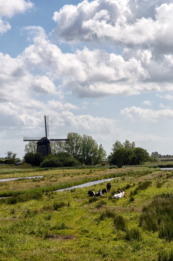 Dutch Landscape stock image. Image of agriculture, canal - 55844721