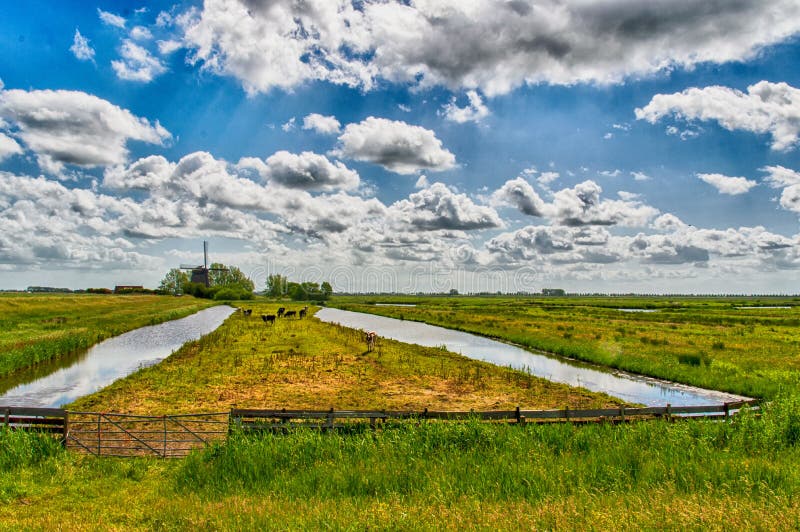 Dutch Landscape stock image. Image of grassland, canal - 55844819