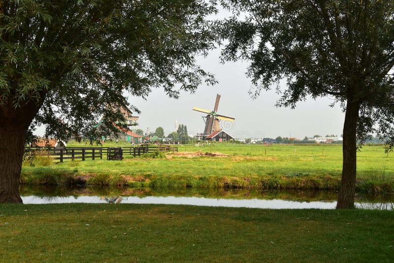 Dutch landscape stock photo. Image of green, netherlands - 77656670