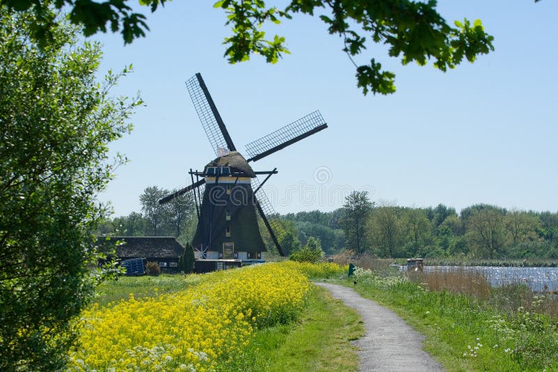 Dutch mill in spring stock image. Image of windmill, holland - 12533011