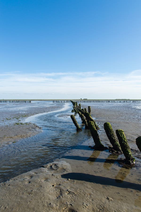 Dutch mud flats stock image. Image of flat, landscape - 44228005