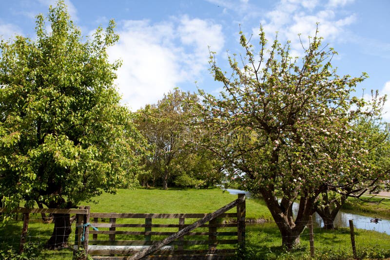 Dutch nature stock image. Image of netherlands, outside - 14331681