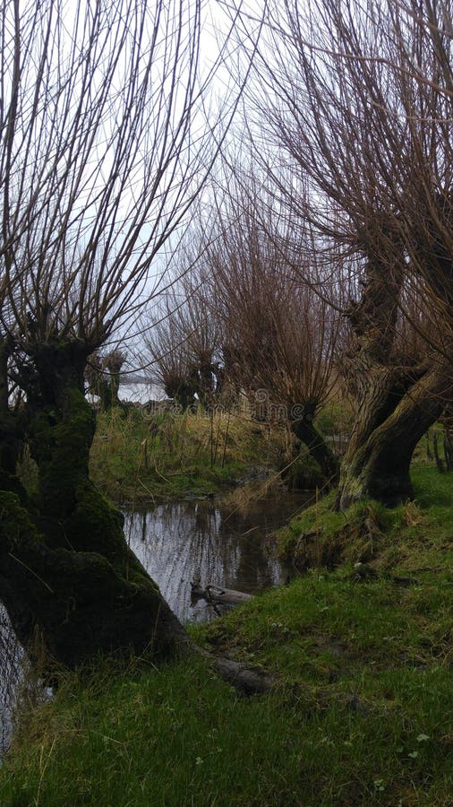Dutch nature stock image. Image of grienden, explore - 111858735
