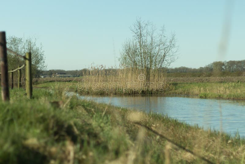 Dutch Nature River Water Grass Stock Photo - Image of dutch, blue: 53258316