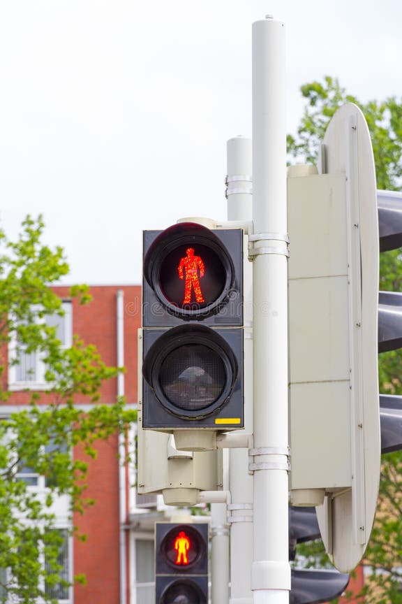 Dutch pedestrian light stock photo. Image of wait, road - 76468994