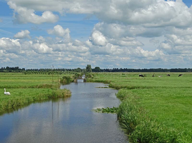 Dutch Polder Landscape Under a Blue Sky Stock Photo - Image of dutch ...