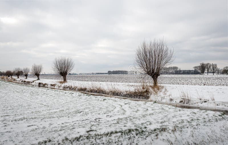 Dutch Winter Landscape with Snow and Low Sun Stock Photo - Image of ...