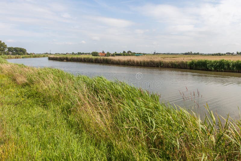 Dutch polder stock photo. Image of oostdijk, reed, polder - 76381990