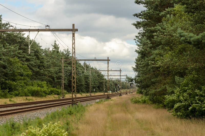 Dutch Railroad through Forest Stock Photo - Image of colors, natural ...