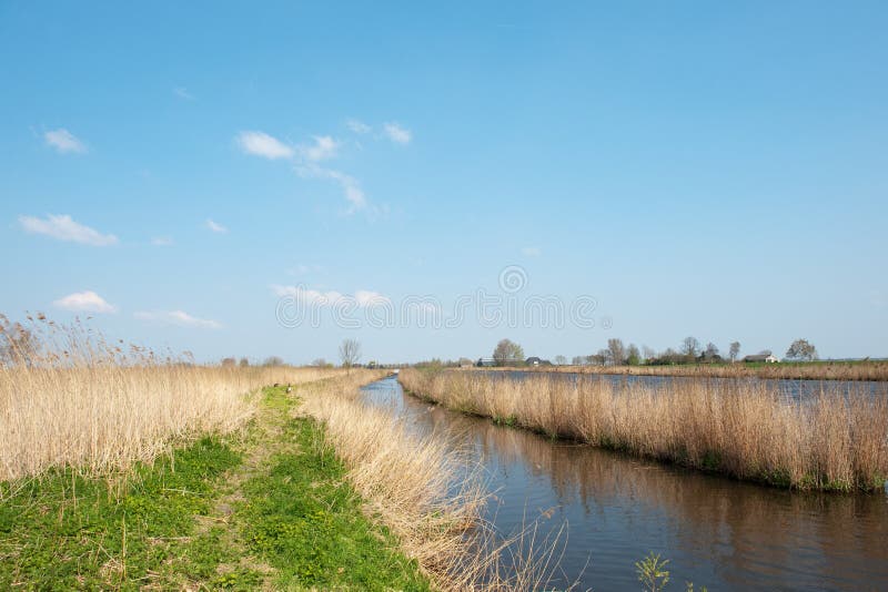 Dutch river the Eem stock photo. Image of holland, bank - 26795356