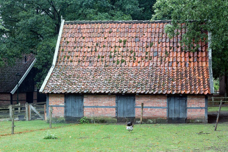 Dutch Rural Open-air Museum with Old Barn Stock Photo - Image of ...
