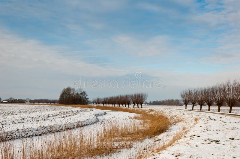 Dutch Rural Winter Landscape Stock Image - Image of beauty, park: 23235045