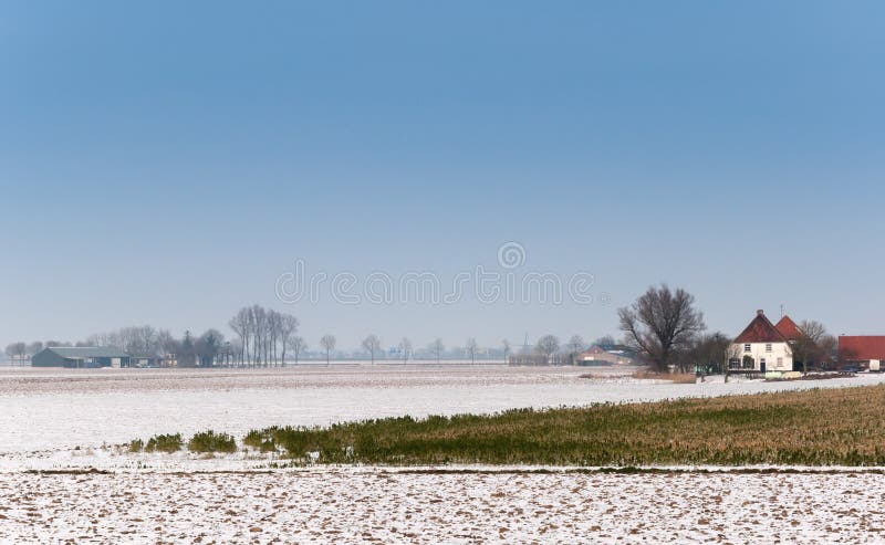 Dutch Rural Winter Landscape with Snowy Fields Stock Image - Image of ...